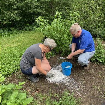 How to Use Diatomaceous Earth for Natural Pest Control in the Garden ...