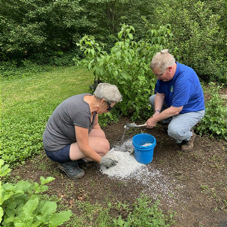How to Use Diatomaceous Earth for Natural Pest Control in the Garden ...