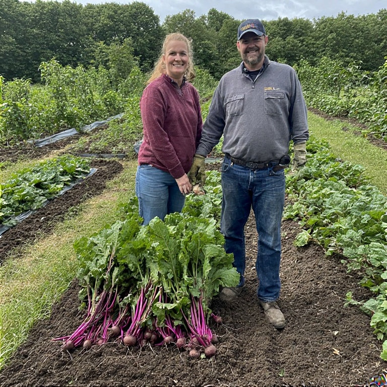 How to Grow Beets in Raised Beds: A Complete Guide to Thriving Root Cr ...